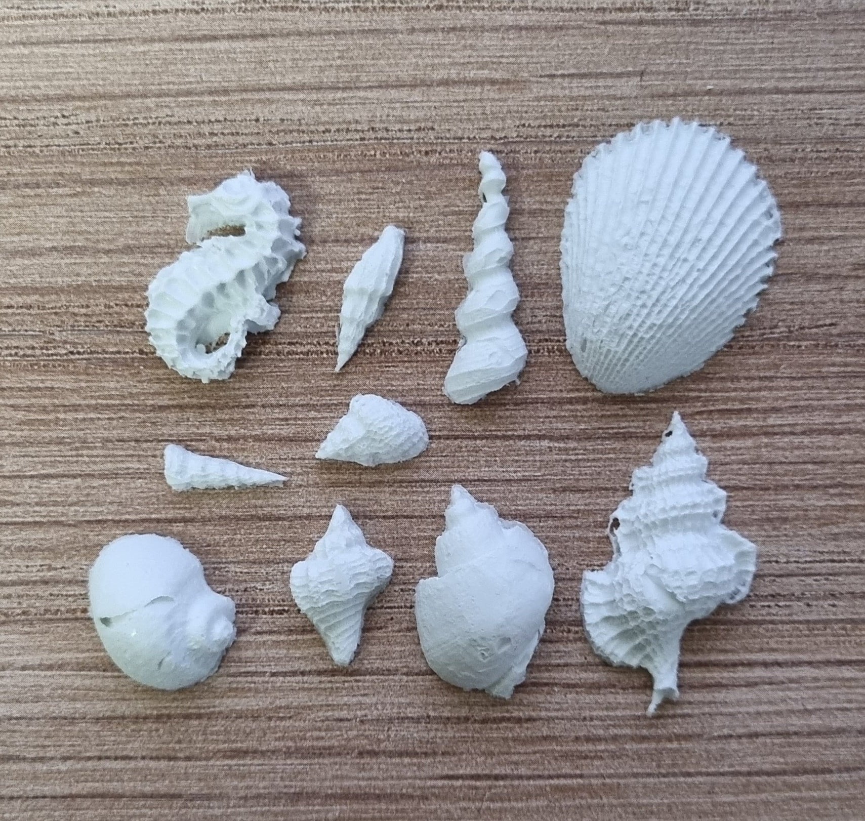 Mini Sea Shells | Butterflies & Bows Paper Crafts